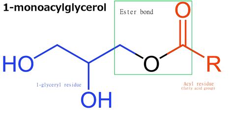 Monoglyceride Wikipedia