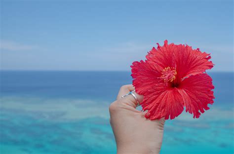 ご利用ガイド Passio Rent A Car