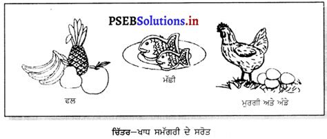PSEB 6th Class Science Solutions Chapter 1 ਭਜਨ ਇਹ ਕਥ ਆਉਦ ਹ PSEB Solutions