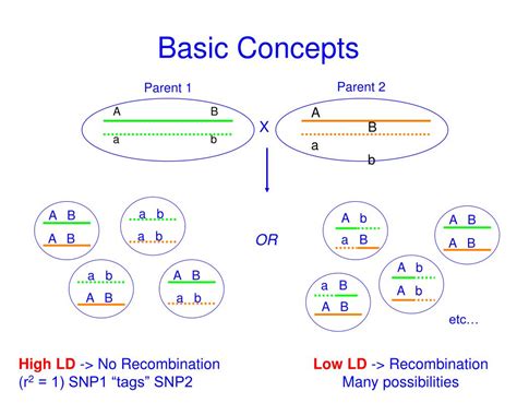 Ppt Trait Mapping Powerpoint Presentation Free Download Id4649399