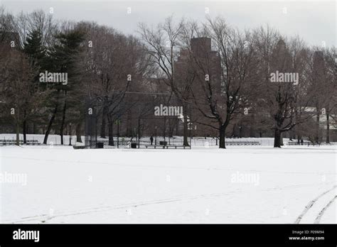 Central Park Was Initially Opened In 1857 And Expanded In 1873 It Has