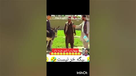 جالب دیدنی شیر خر داده به طرف Youtube