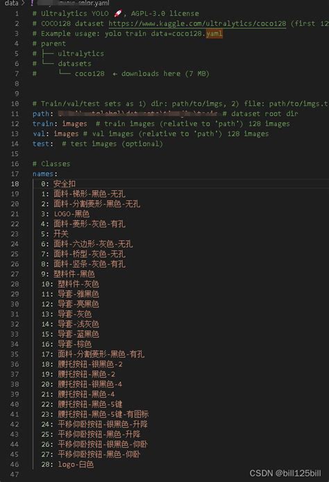 yolov9 加载中文标签显示乱码解决办法 yolov9 coco数据集改中文 csdn博客