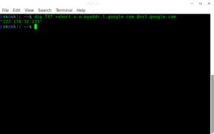 Find Out Public IP Address From Command Line On Linux OSTechNix