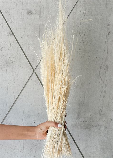 Get Star Grass Bleached At ₹ 699 Lbb Shop