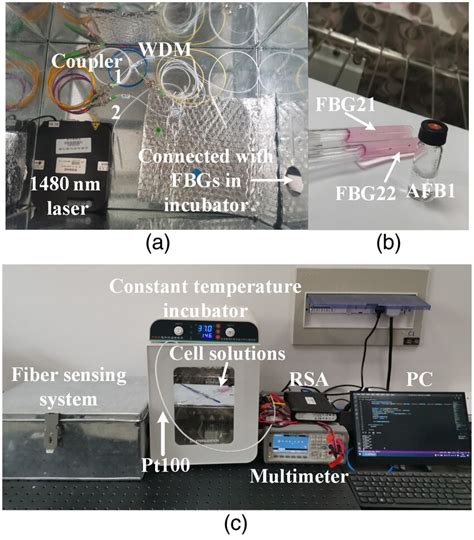 Test Environment And Instruments A Fiber Sensing System B Fbg Download Scientific Diagram