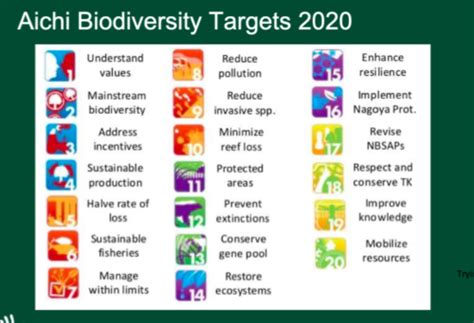 Lecture 19 Biodiversity Monitoring And Metrics Flashcards Quizlet
