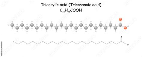 Stylized molecule model/structural formula of the unsaturated fatty ...