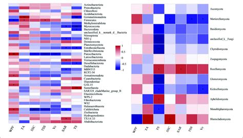 Pearsons Correlation Heatmap Showing The Relationship Between Download Scientific Diagram