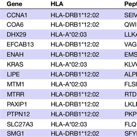 Personalized Neoantigen Peptides And Predicted Hla Binding In The Download Scientific Diagram