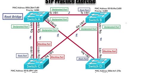 stp practice exercise best cisco ccna ccnp and linux centos pdf notes