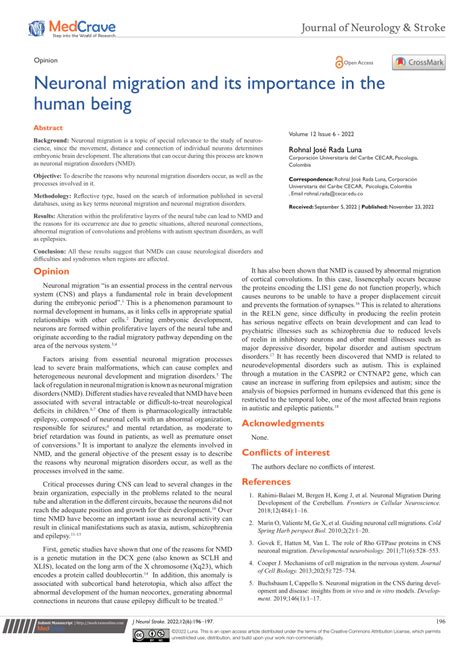 Pdf Neuronal Migration And Its Importance In The Human Being