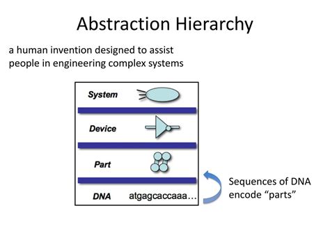 Ppt Abstraction Lesson 2 Powerpoint Presentation Free Download Id2621987