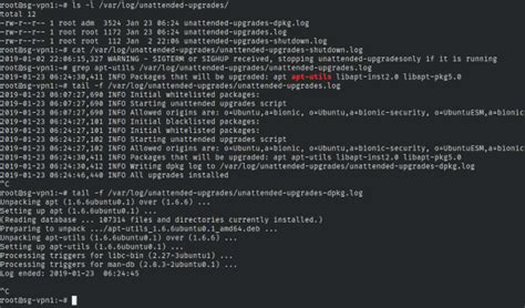 Ubuntu Enable Set Up Automatic Unattended Security Updates NixCraft
