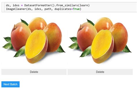 Duplicate Widget Fastai Dev Fastai Course Forums