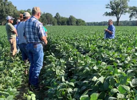 Irrigation With Dr Brian Leib Institute News