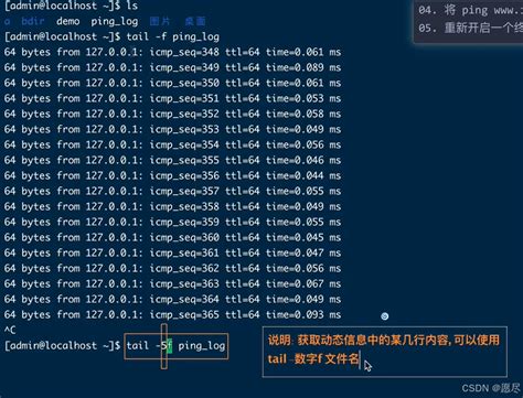 软件测试 Linux Csdn博客