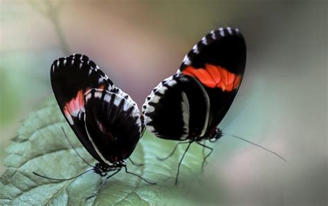 Définir Et Modifier Le Format Des Nombres Pour La Plage De Cellules Excel Via Une Macro Vba Le