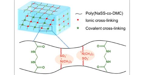 Ionically Conductive And Self Healing Polyampholyte Hydrogels For Wearable Resistive Strain