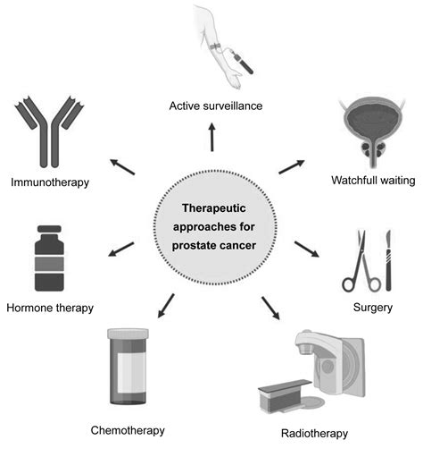 Figure 2 Evolution Of Models Of Prostate Cancer Their Contribution To Current Therapies