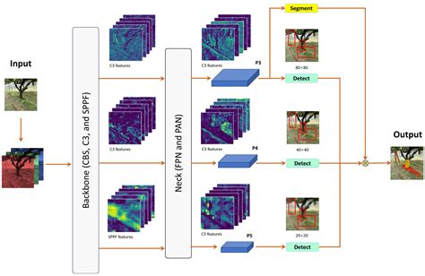 Intrarow Uncut Weed Detection Using You-Only-Look-Once Instance Segmentation for Orchard Plantations