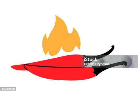 불 그림과 함께 붉은 뜨거운 칠리 고추 뜨거운 칠리 고추 스케치 붉은 고추 그림 손으로 그린 스케치 디자인 요소 벡터 일러스트 레이 션 고추류에 대한 스톡 벡터 아트 및