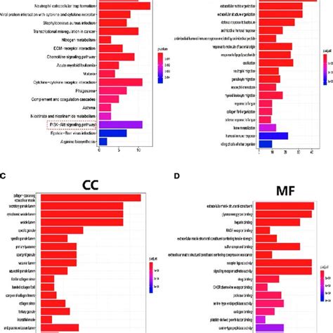 Pathway And Biofunctional Enrichment Analyses A Kegg Pathway