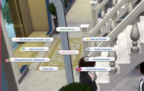 Does Anyone Know How To Fix This R TheSims Mods