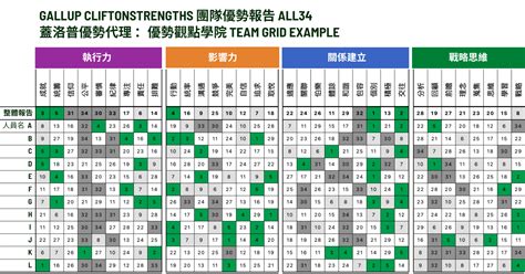 蓋洛普優勢團隊報告 Gallup Team Grid 企業教練培訓官方代理 蓋洛普優勢觀點學院