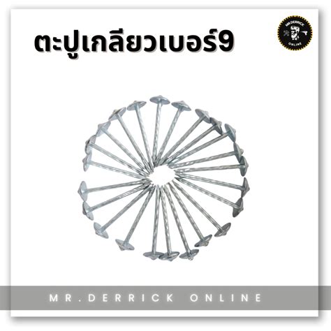 ตะปูตอกสังกะสีแผ่นเมทัลชีท ตะปูสำหรับงานเหล็ก ตะปูเกลียวเบอร์ 9 2นิ้วครึ่ง ทนทาน แข็งแรง ไม่