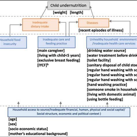Conceptual Framework Of Factors Associated With Undernutrition Assessed Download Scientific