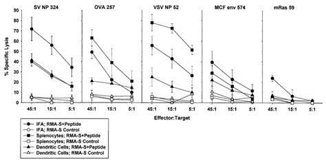 magnitude of ctl responses to five h 2k b restricted epitopes b6 mice