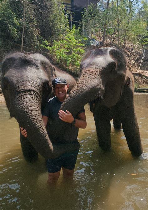Puthawan Elephant Camp Prices And Inn Reviews Mae Win Thailand