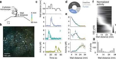 Figures And Data In Neural Coding In Barrel Cortex During Whisker Guided Locomotion Elife
