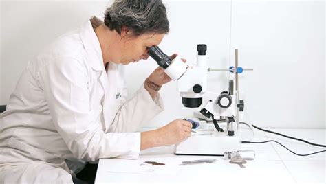 Native Seed Testing Biobank Seed