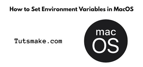 how to set environment variable in java program printable online
