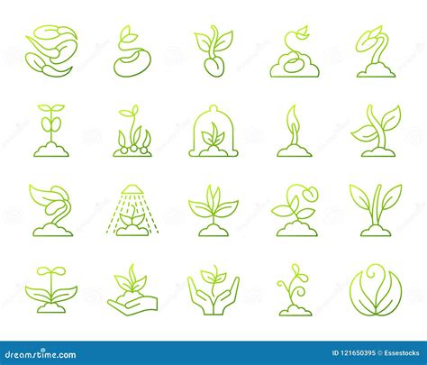 Sprout Simple Green Line Icons Vector Set Stock Vector Illustration Of Garden Protect 121650395
