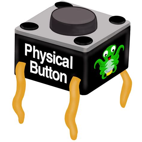 Physical Button