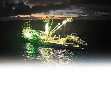 【MEIHO Co., Ltd.】Traditional Fishing “Pole and Line” | Japan