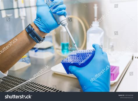 Pippete Over 248 Royalty Free Licensable Stock Photos Shutterstock