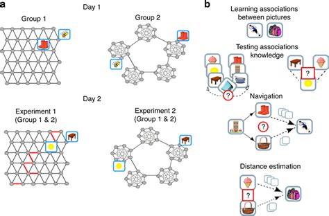 Transfer Of Structural Knowledge Graph Structures And Experimental Download Scientific Diagram