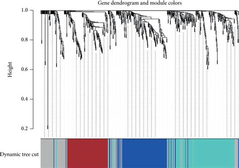 Identification Of Modules Associated With Clinical Characteristics Of