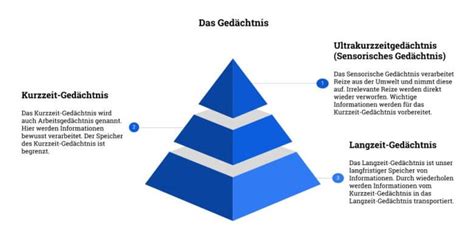 Gedächtnis Verbessern Die 10 Ultimativ Besten Tricks