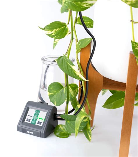 Wi Fi Plantsitter™ Indoor Timer Kit Wi Fi Watering Holman Industries
