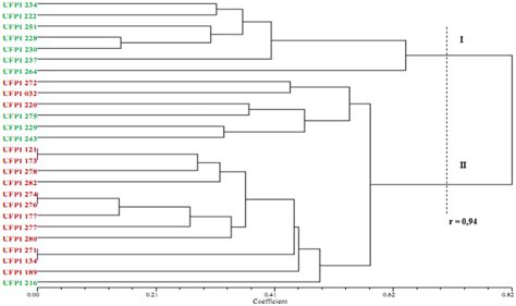Dendrogram Generated From Modified Rogers Distance Based On Data From Download Scientific