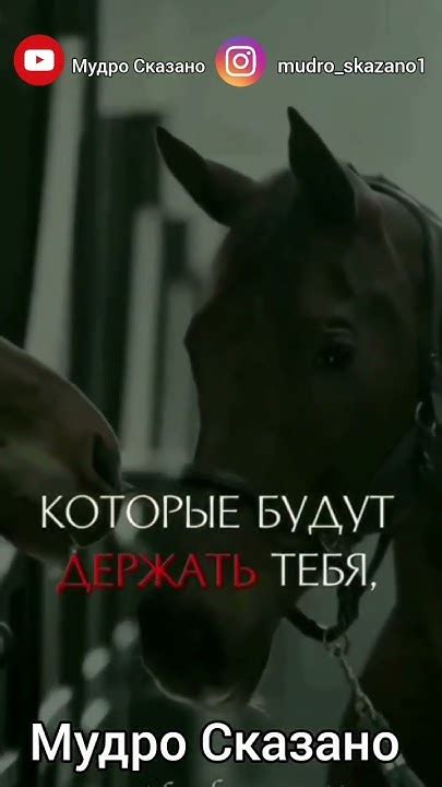 Найди Сердце очень сильные слова сильныеслова мудрыеслова семья