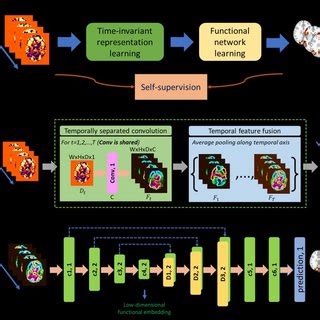 Our Proposed Deep Learning Framework For Personalized Functional Download Scientific Diagram