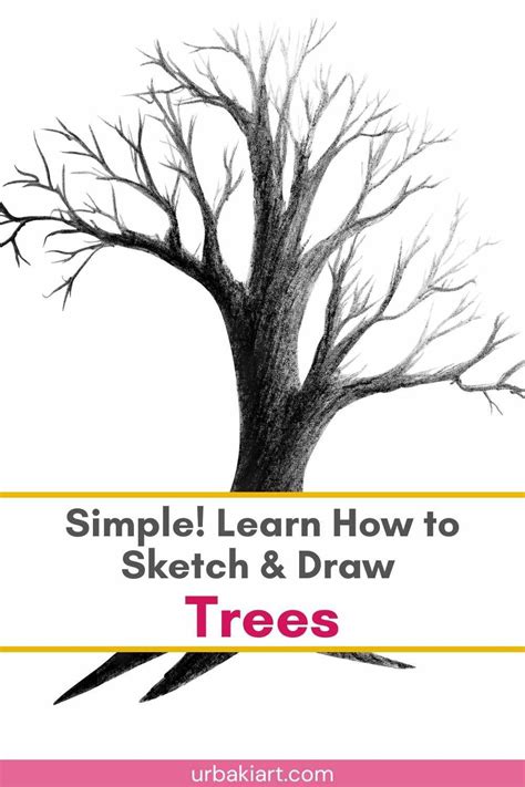 Simple Learn How To Sketch Draw Trees Trees Drawing Tutorial Landscape Pencil Drawings