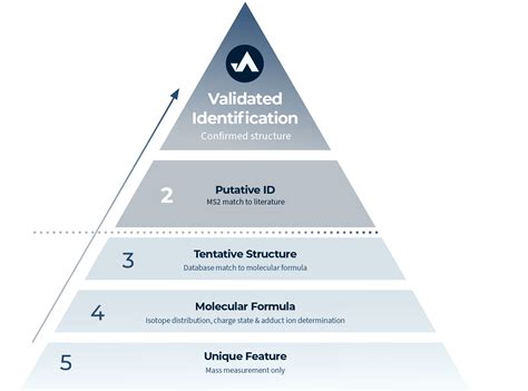 Bioinformatics Metabolon