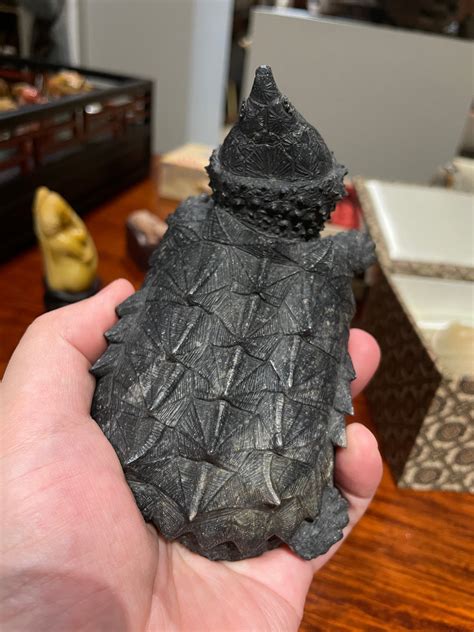 Macroclemys Temminckii Alligator Snapping Turtle Handmade Etsy